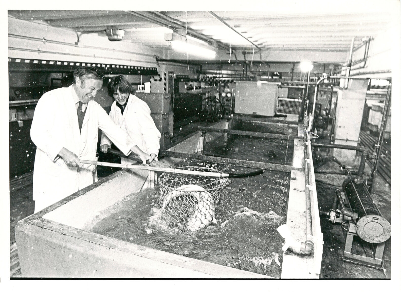 Gallery: Torry Research Station and its world-leading work in fish ...