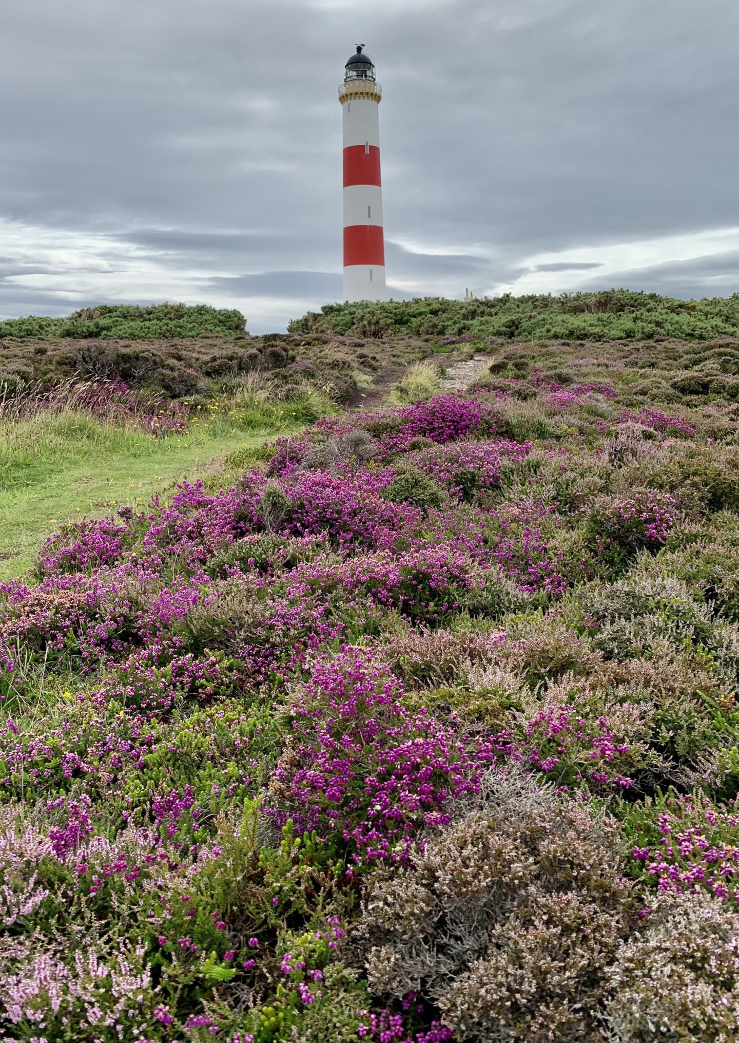Coastal circuit around Tarbat Ness lighthouse and Portmahomack in ...