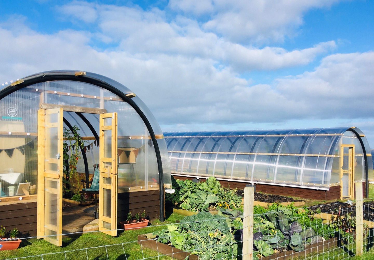 Polycrub: The inspiring story of the storm strength polytunnels
