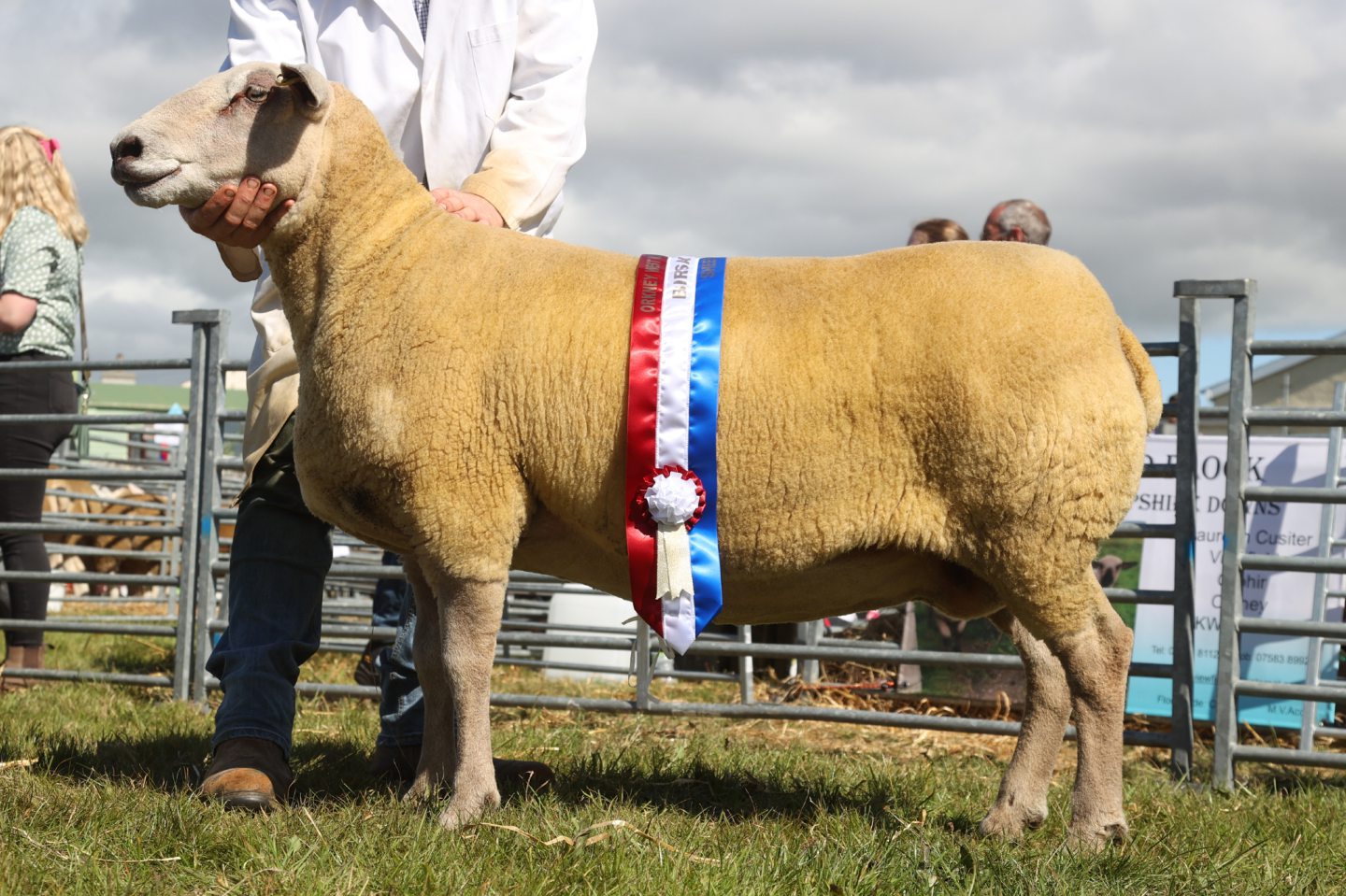 West Mainland farmers put on a show of quality at Dounby - Press and ...