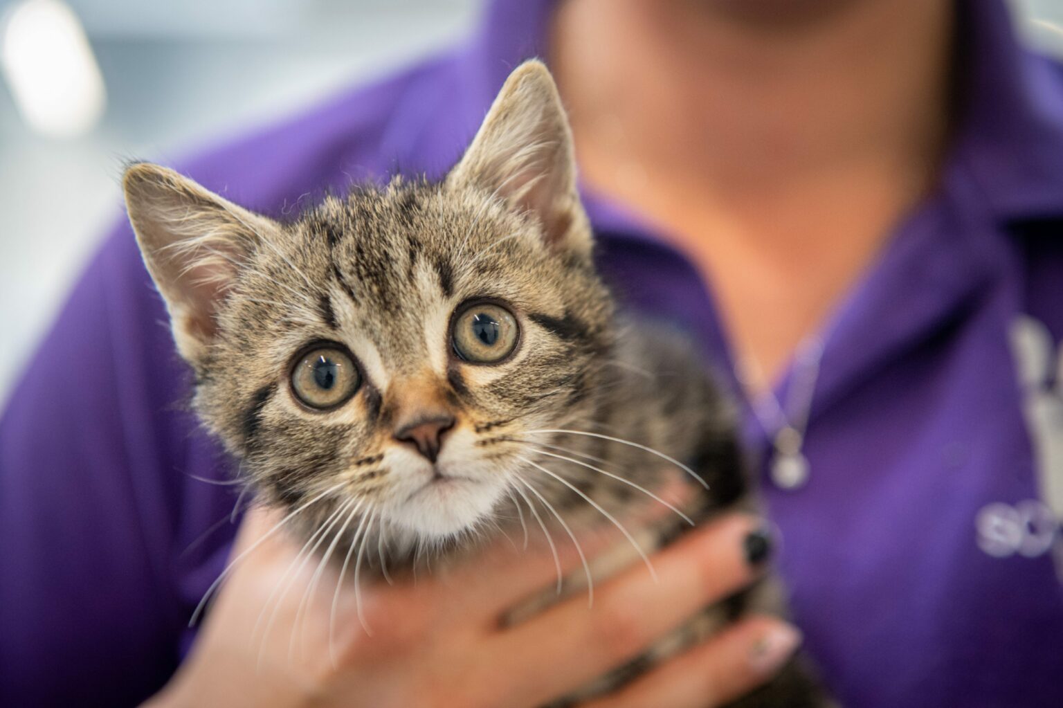 Scottish SPCA at Drumoak trying their best to cope with ever-increasing ...