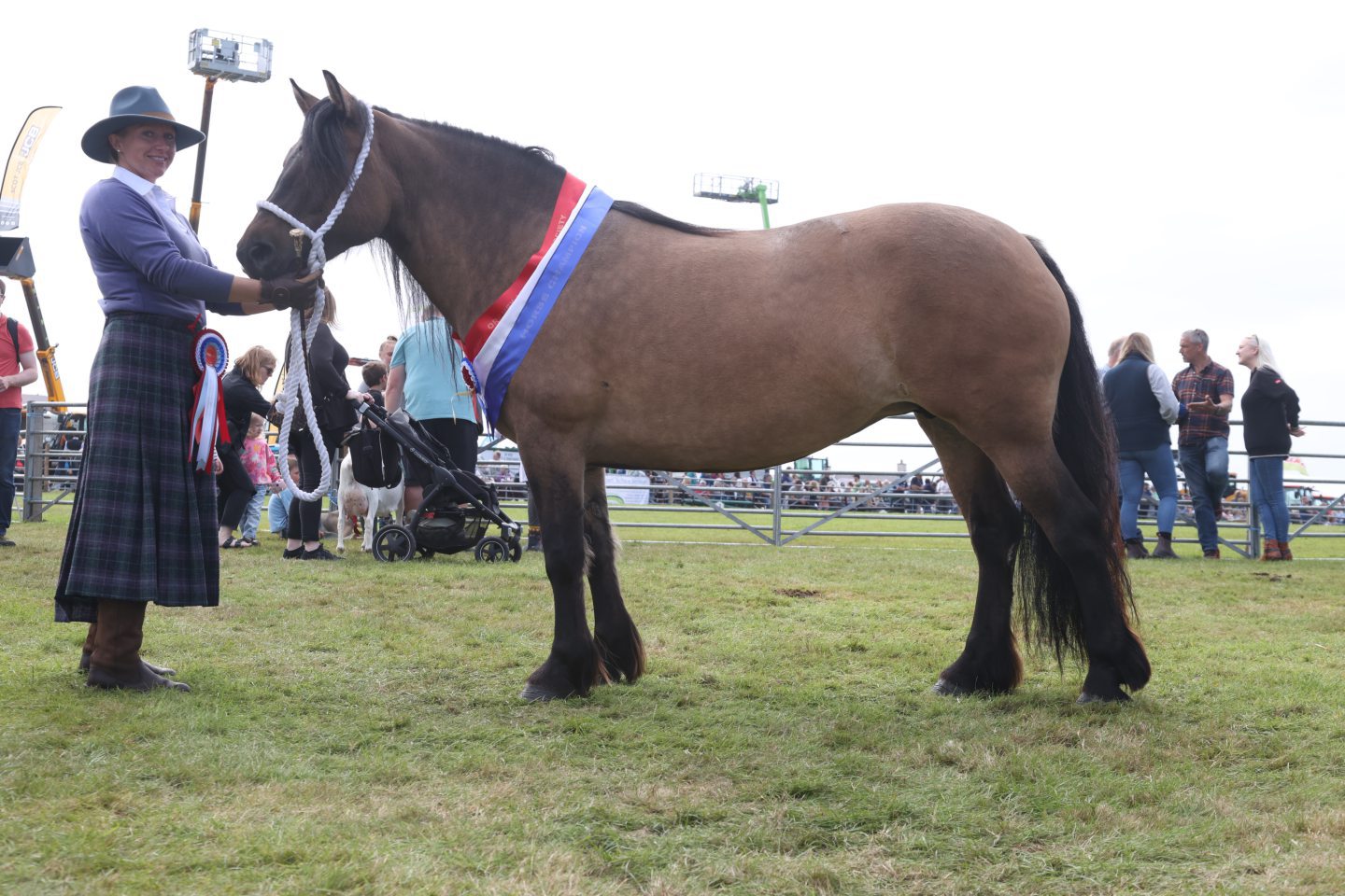 Sebay and Bimbister rule supreme at Orkney County Show - Press and Journal
