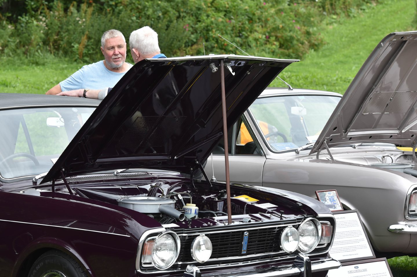 GALLERY: AllFord returns to Alford with 'best ever' show for Ford fans