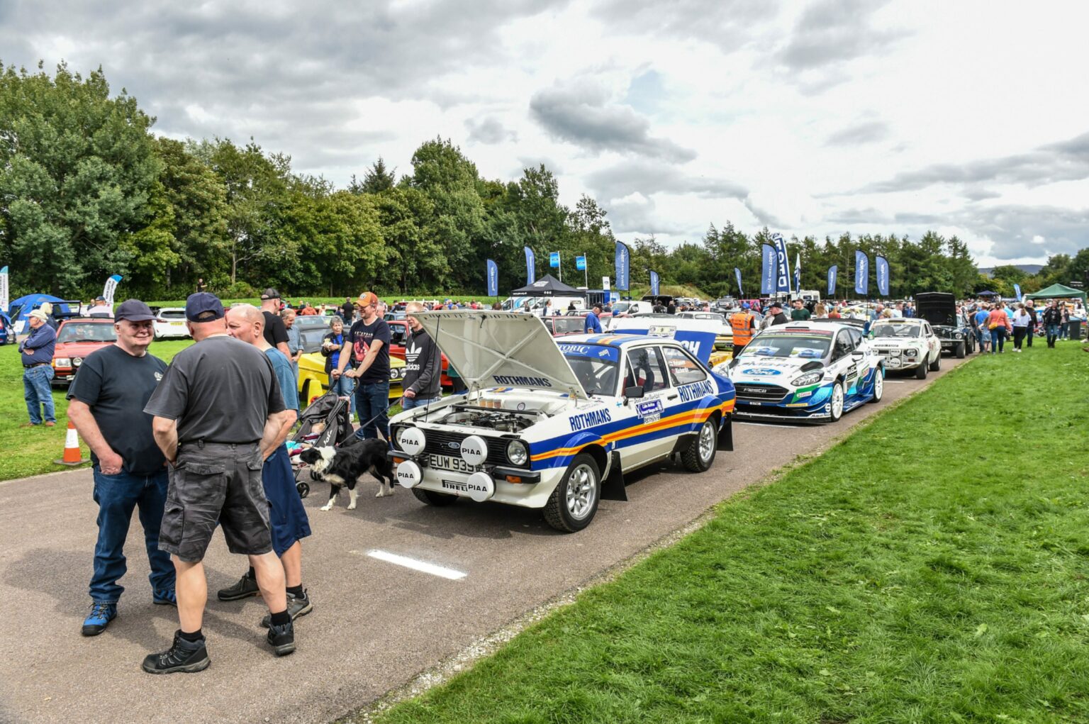 GALLERY: AllFord returns to Alford with 'best ever' show for Ford fans