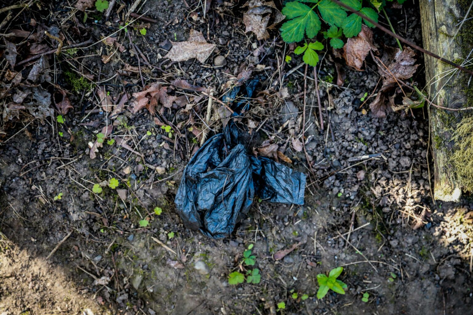 Man flung poo-filled bag at Aberdeen police officer