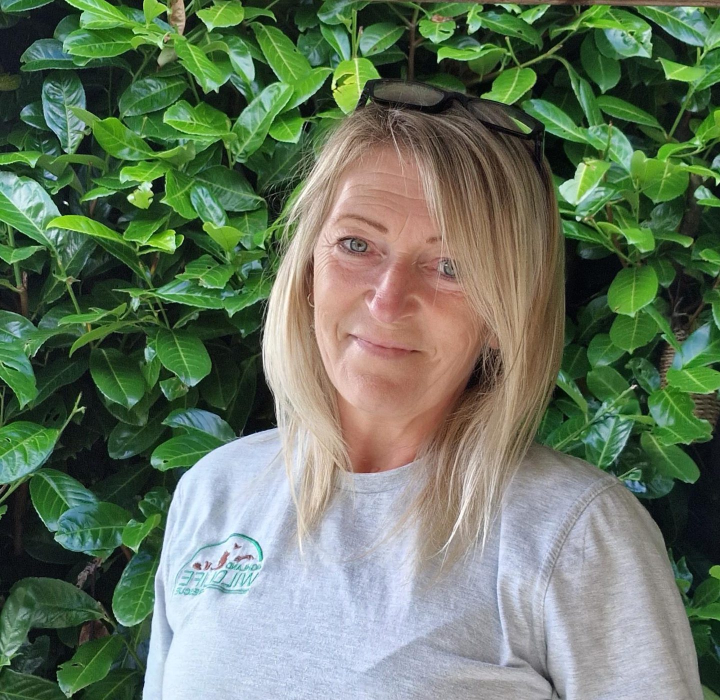 Highland Wildlife Rescue: Meet the woman saving dozens of hedgehogs ...