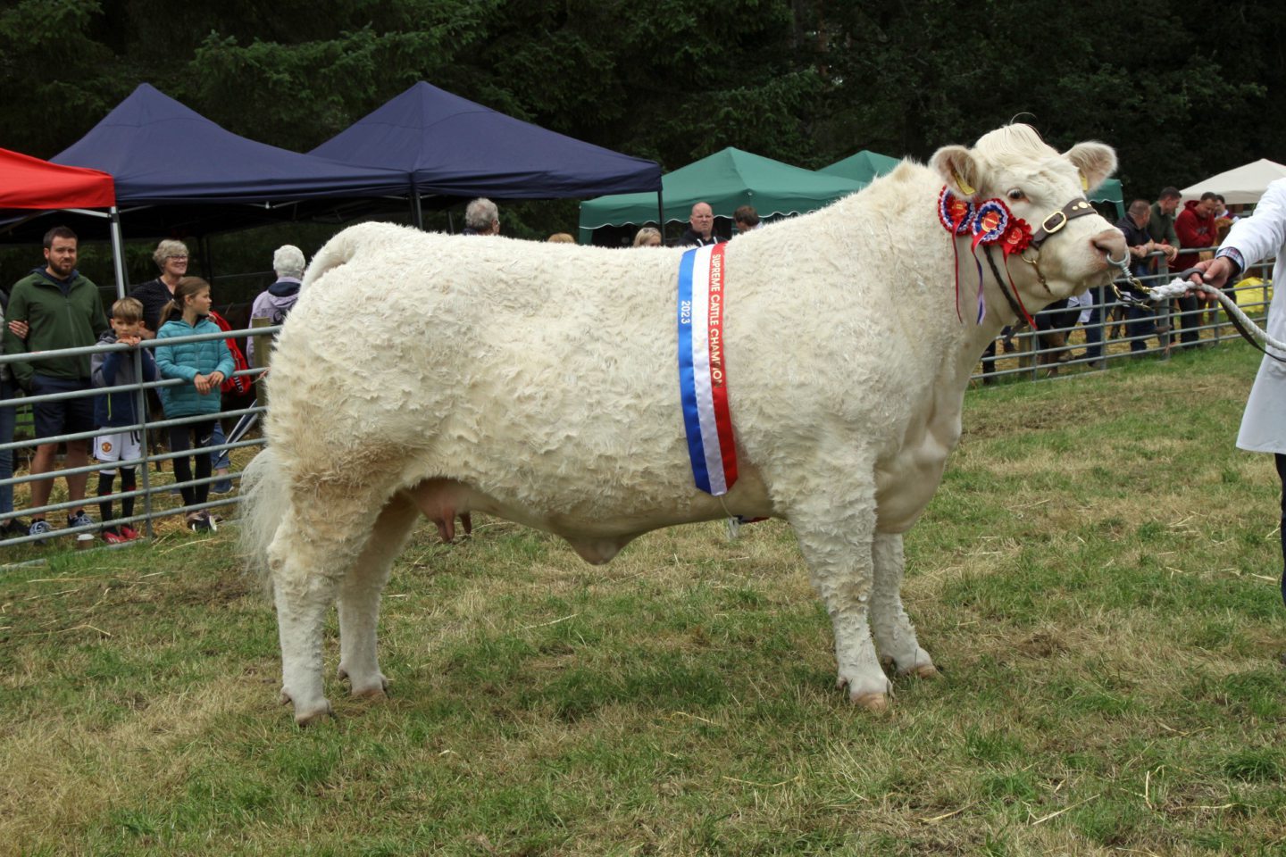 Tarland returns to the show circuit as a success - Press and Journal