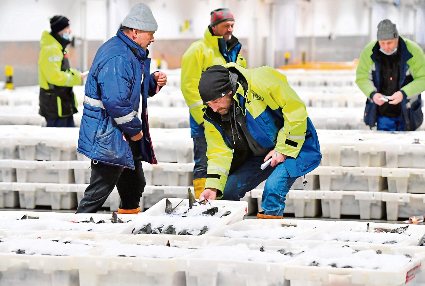 New record for fish landings in Peterhead