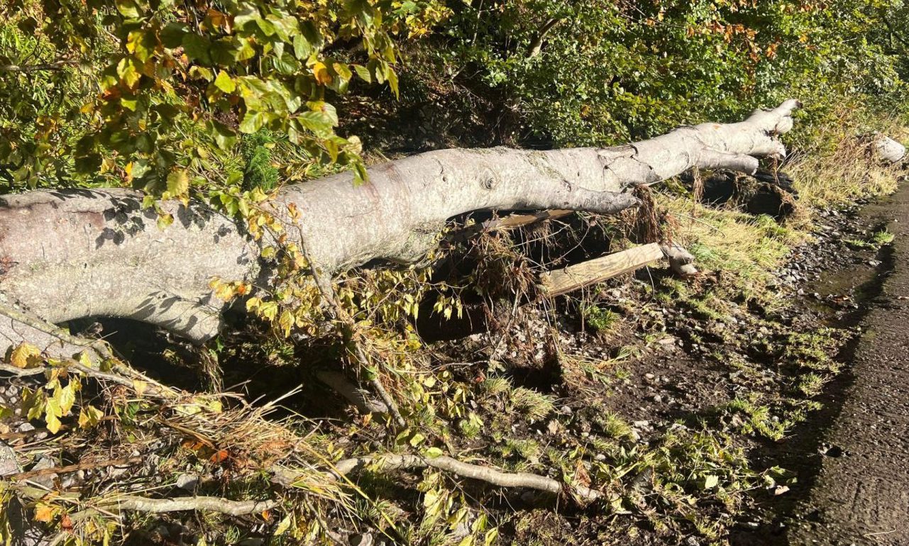 Storm Babet sees tree crush Culter memorial bench