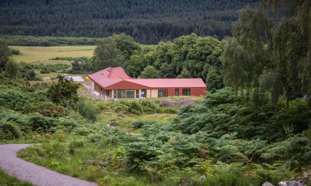World's first rewilding centre, Dundreggan, marks first year