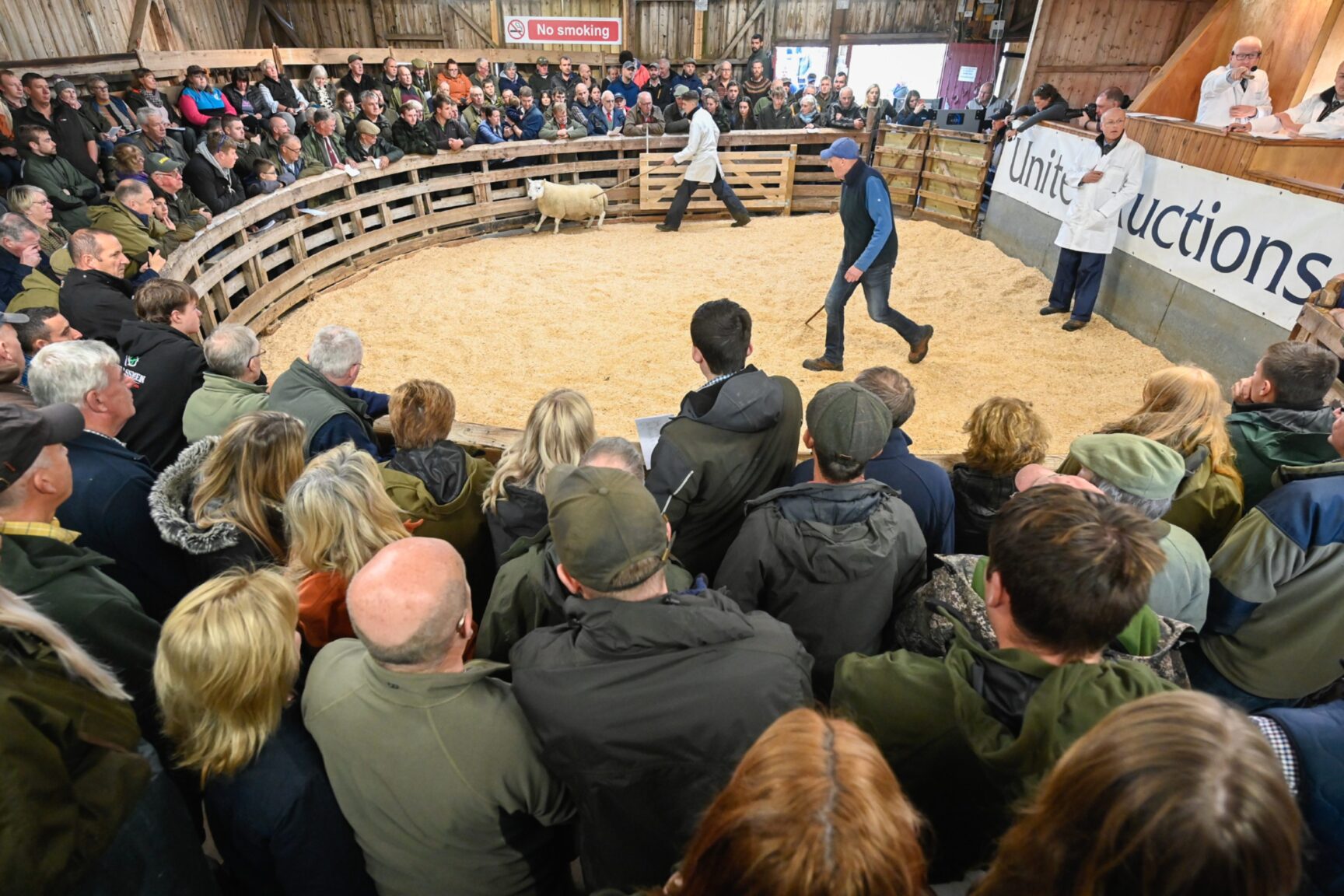 Attonburn flock leads the way in Lairg at £14,000 - Press and Journal