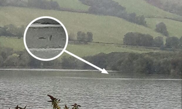 New Nessie sighting described as 'clear evidence' monster exists
