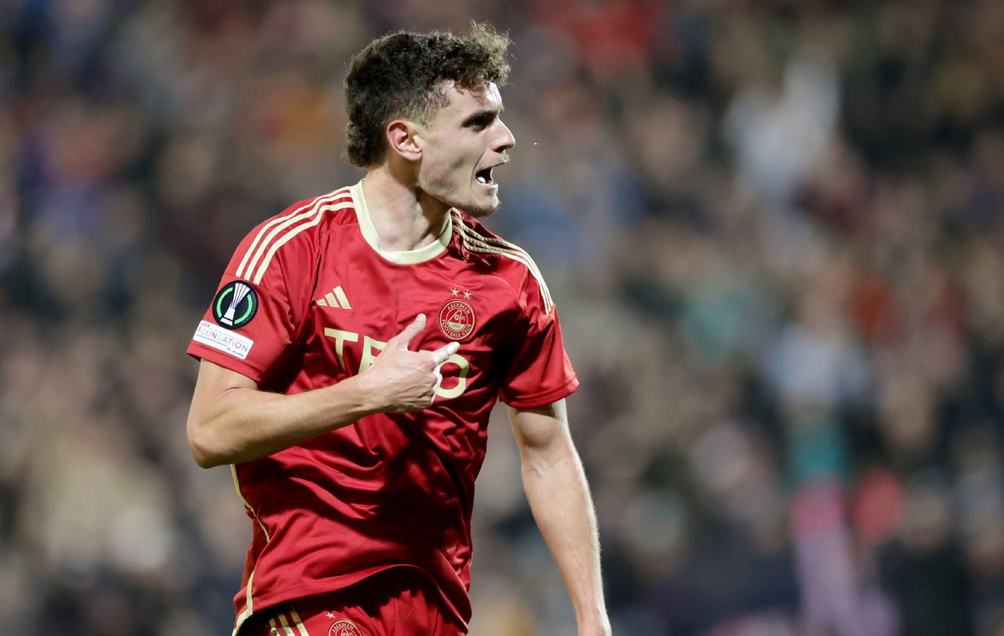 Dante Polvara: Aberdeen players must prove themselves to Thelin