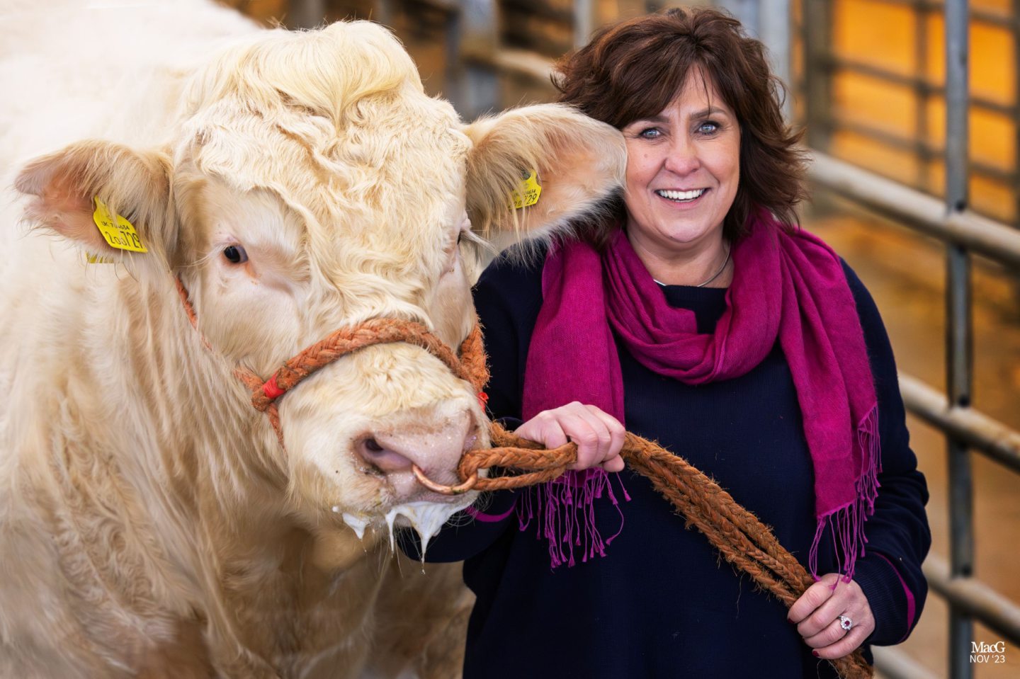 Sian Sharp takes on new role with British Charolais Cattle Society ...