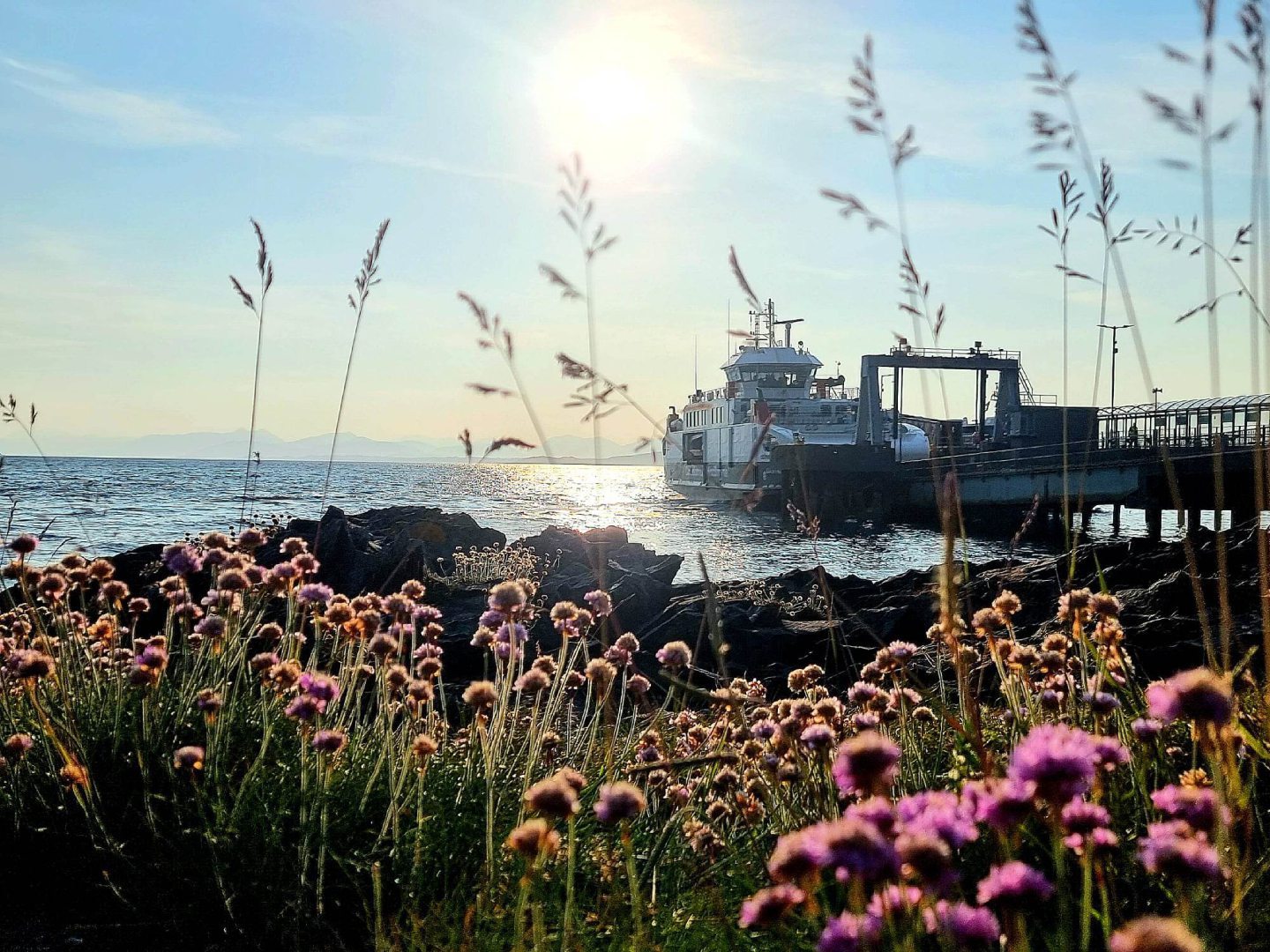 363 days of sheer joy from Mull and Iona binman's photographs