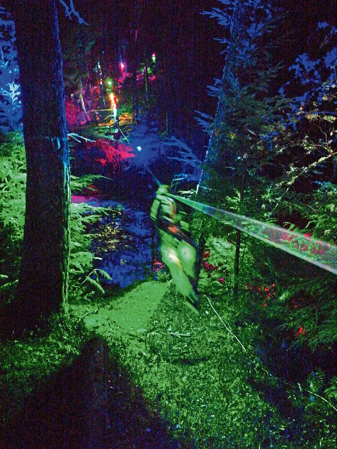 Magical floodlit zip adventure at Alvie Estate near Aviemore