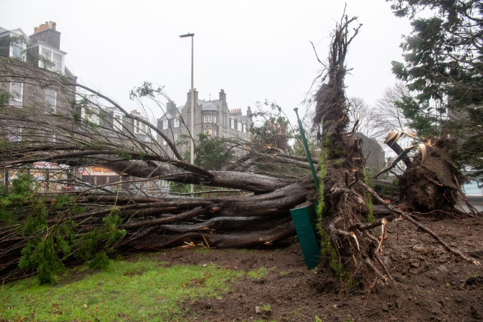 Storm Gerrit: Fallen tree blocks George Street in Aberdeen