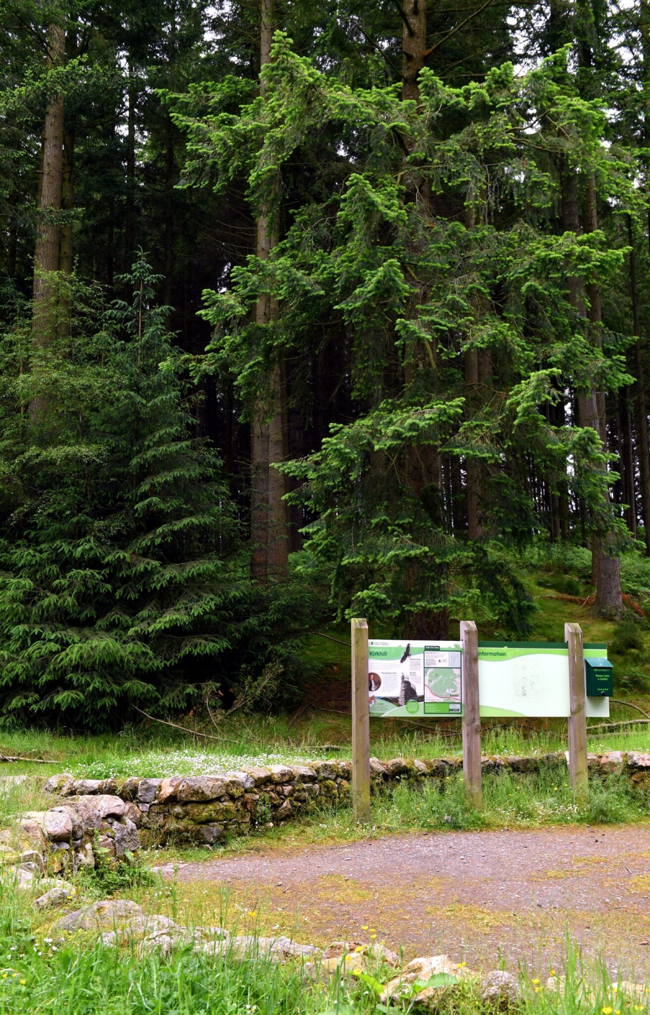 11 best running routes and trails in Aberdeen and Aberdeenshire