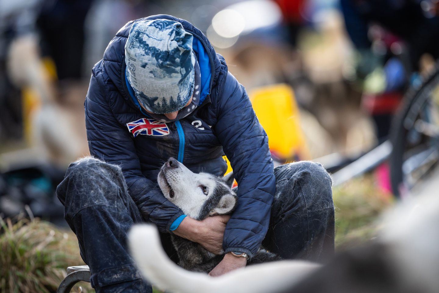 Aviemore Husky rally organiser says English events cheaper to run
