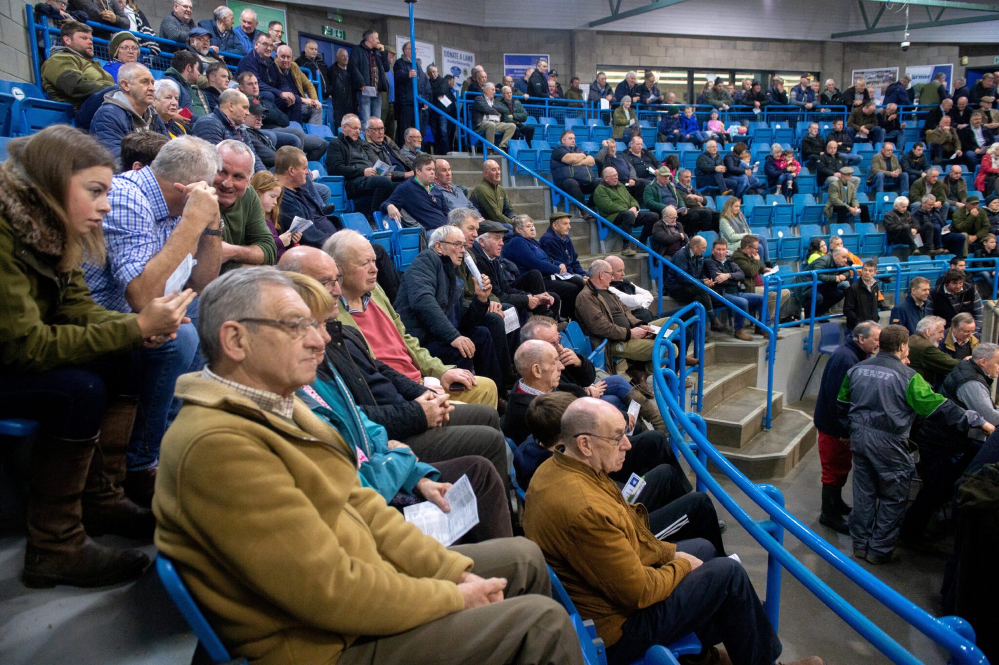 Caithness consignor wins Thainstone anniversary show - Press and Journal