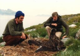 Roy Dennis 83 recognised for lifetime saving Scottish wildlife