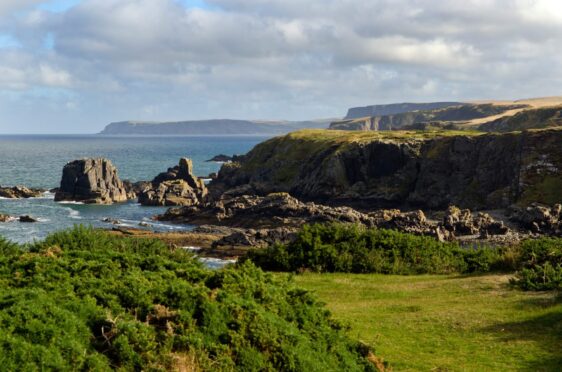 11 places to see wildlife in Aberdeen, Aberdeenshire and Highlands