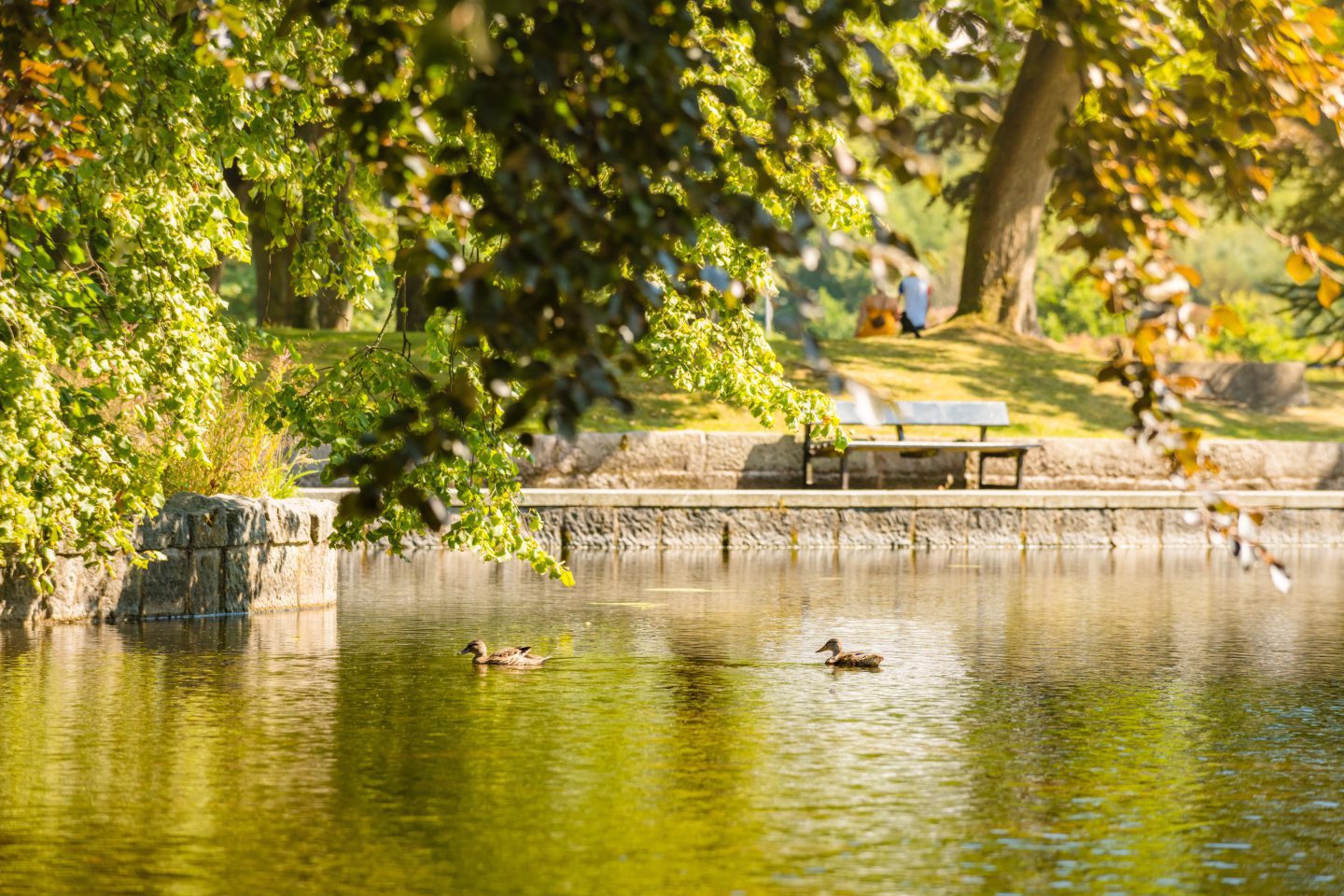 6 picturesque Aberdeen parks and gardens for a spring walk