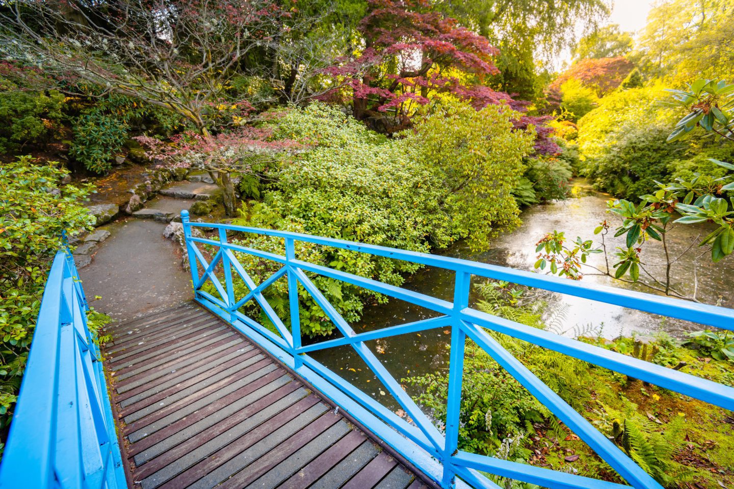 6 picturesque Aberdeen parks and gardens for a spring walk