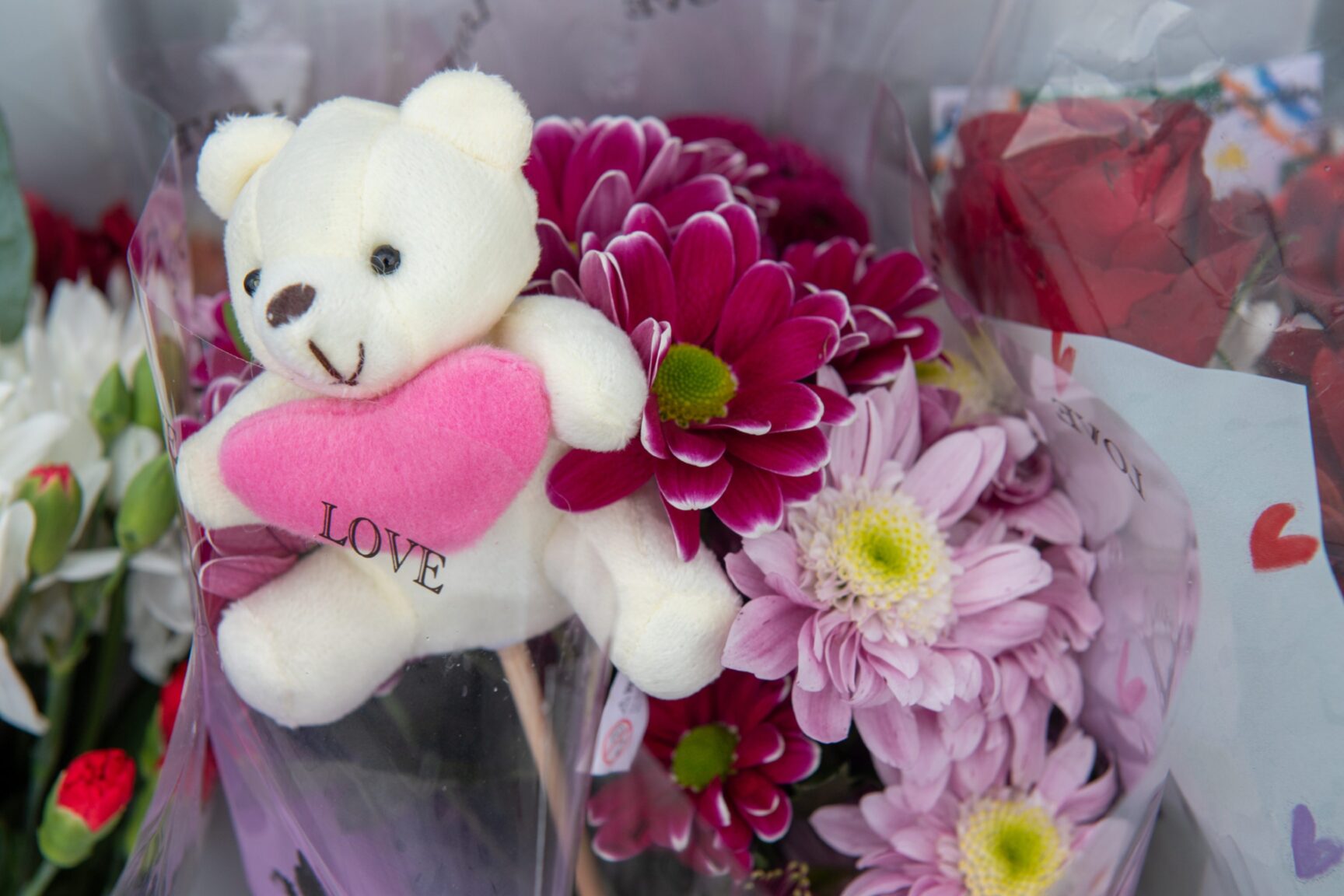 Jessica Rennie: Family describe 'unbearable' pain of pool tragedy