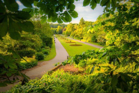 6 picturesque Aberdeen parks and gardens for a spring walk
