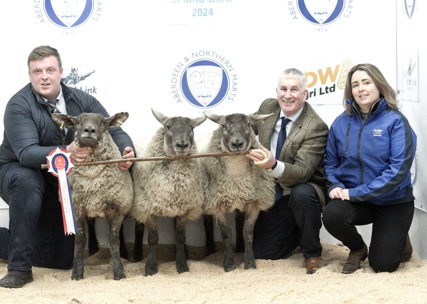 RNAS Spring Show: Sheep Park Farms and Cairness top sheep awards ...