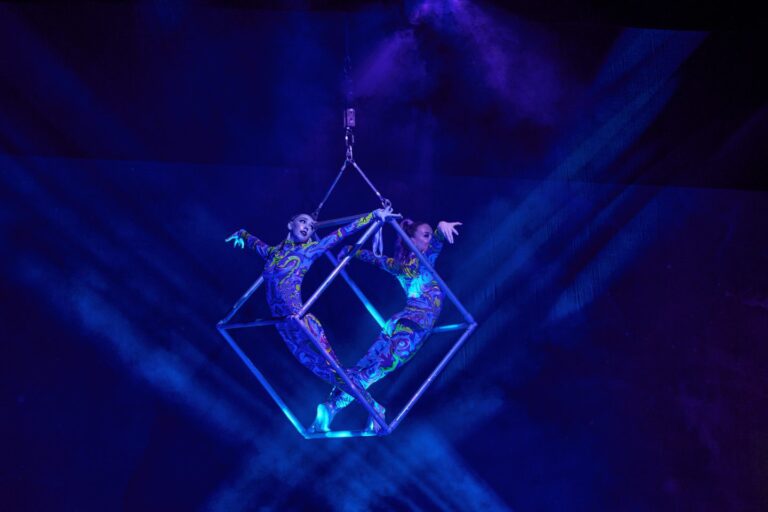 Greatest Showman was inspiration behind Cirque
