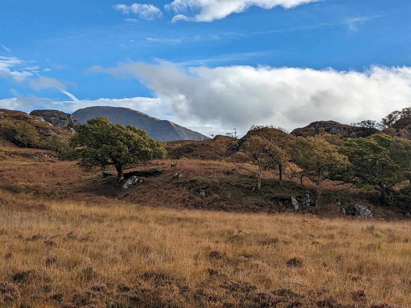 Exploring the deserted village of Peanmeanach in remote Ardnish