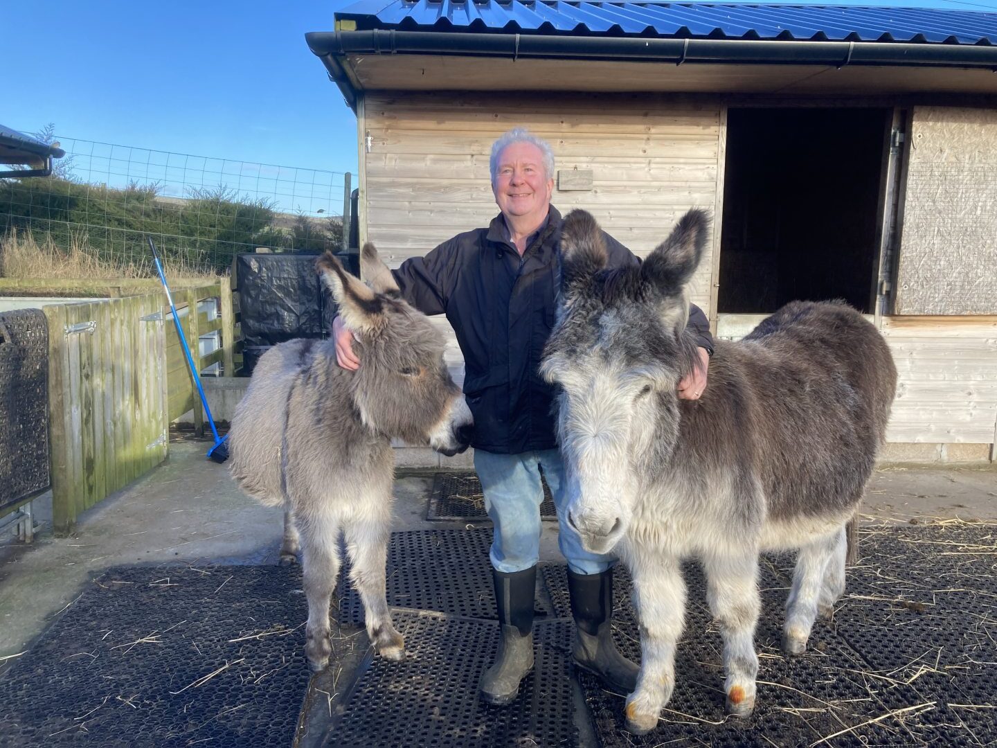 Heartbroken donkey from Turriff finds new forever friend