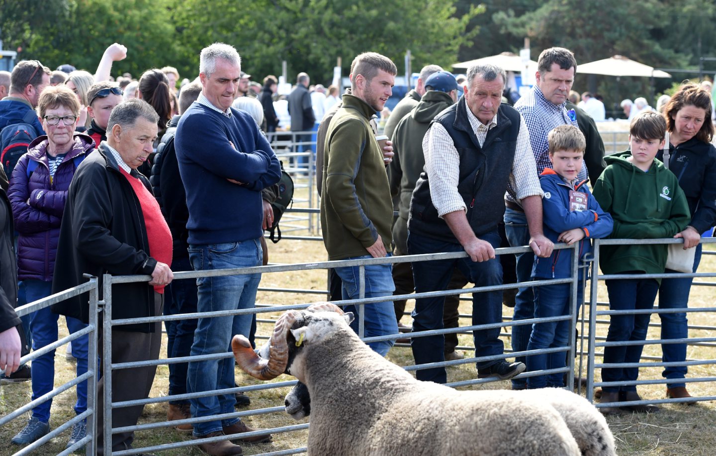 Local NFU Mutual agencies return as headline sponsors of Black Isle ...