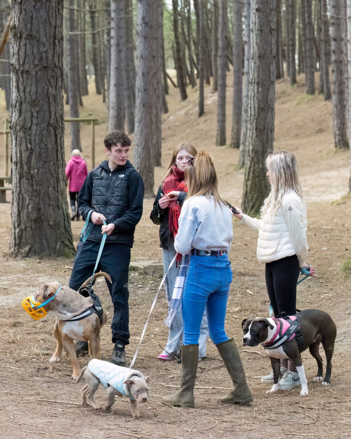 XL bully walk success for owners struggling with mental health