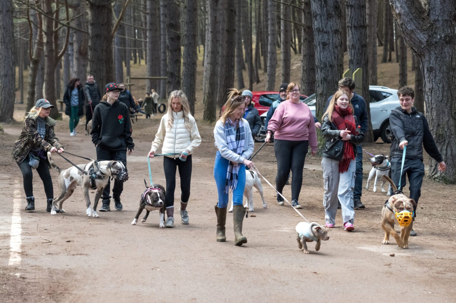 XL bully walk success for owners struggling with mental health