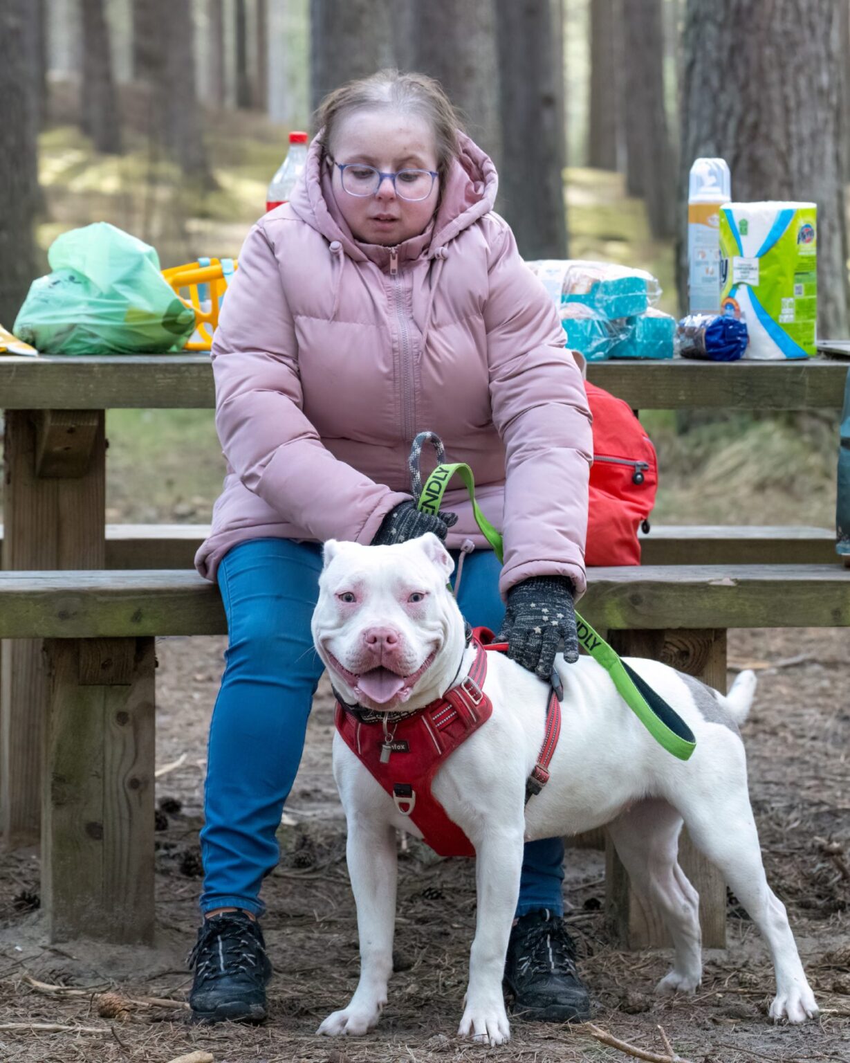 XL bully walk success for owners struggling with mental health
