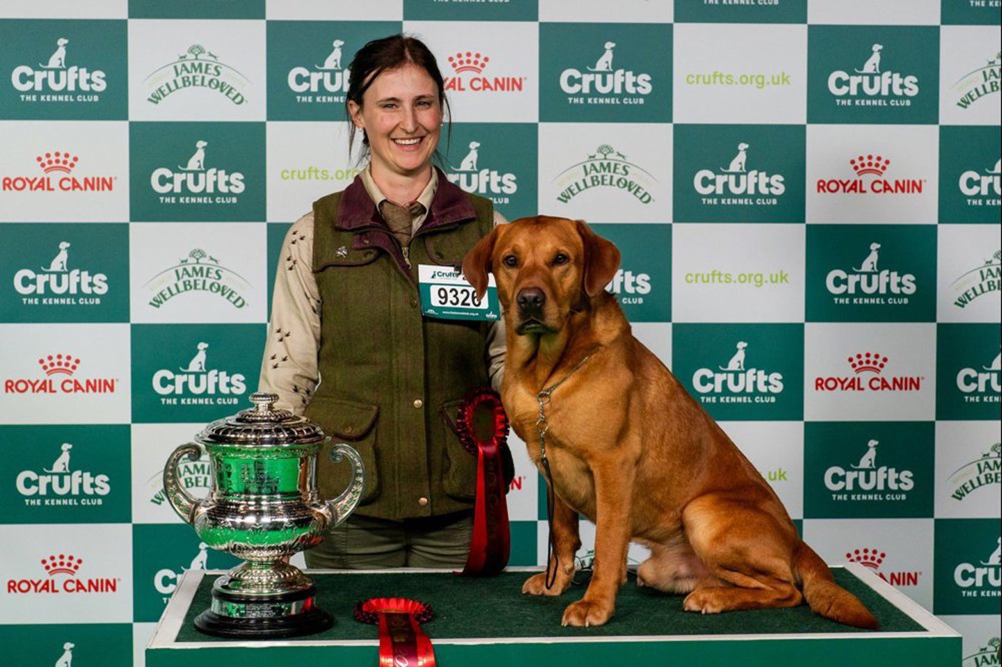 Crufts 2024: Prizes for north and north-east's Tweed and Jerry Lee