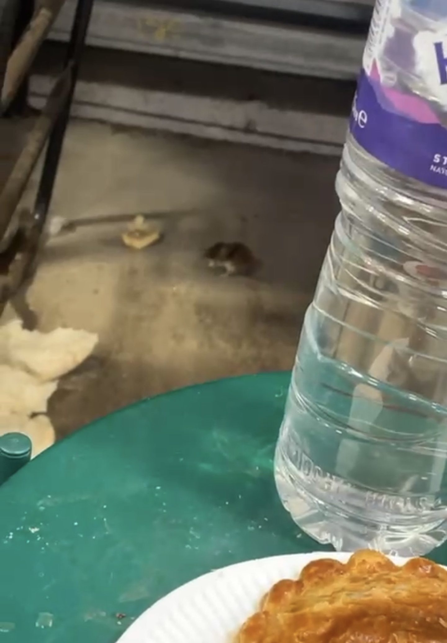 Appin mechanics mourn the loss of mouse who ate lunch with them