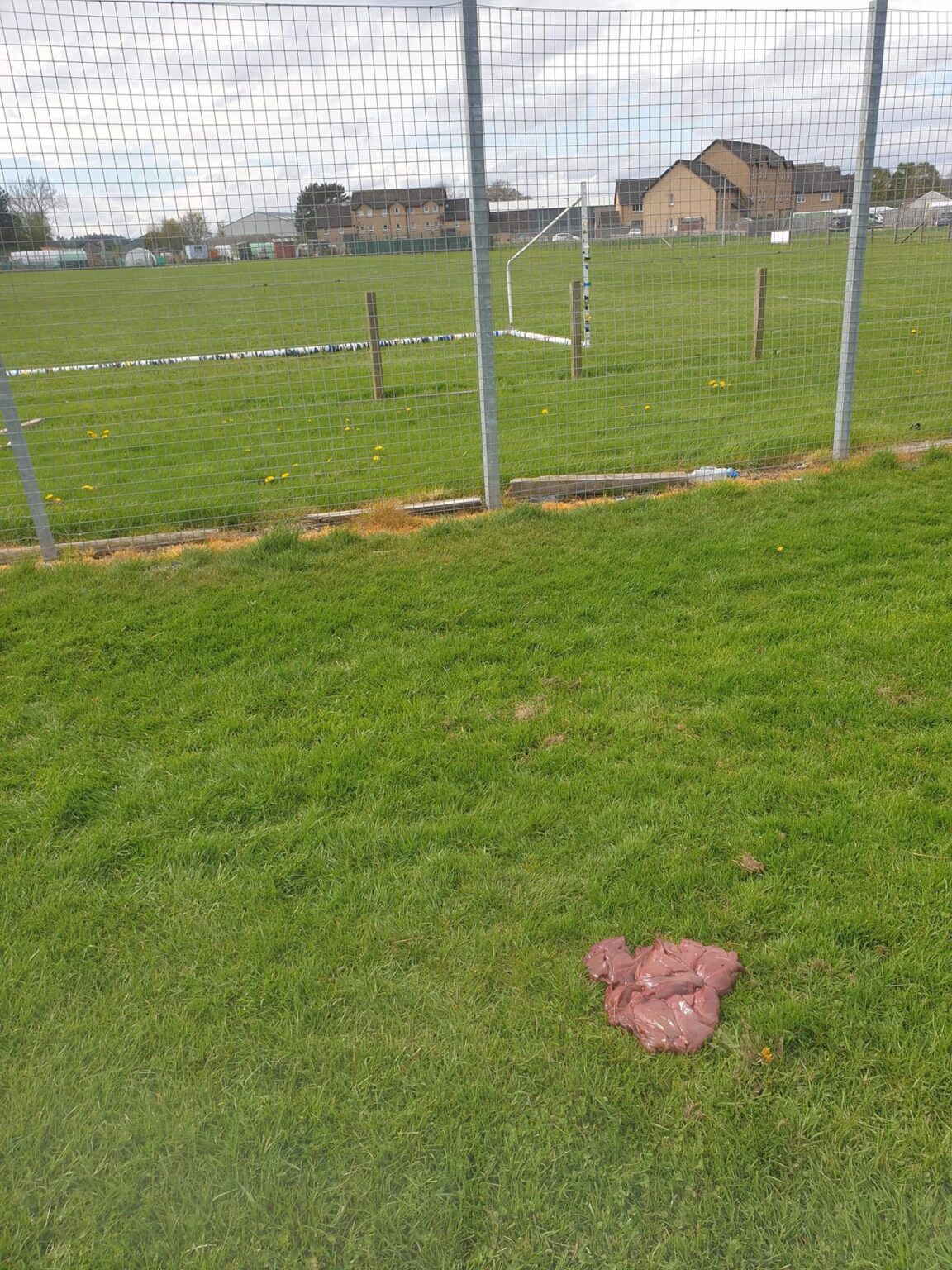 Elgin residents baffled after piles of offal dumped at football pitch