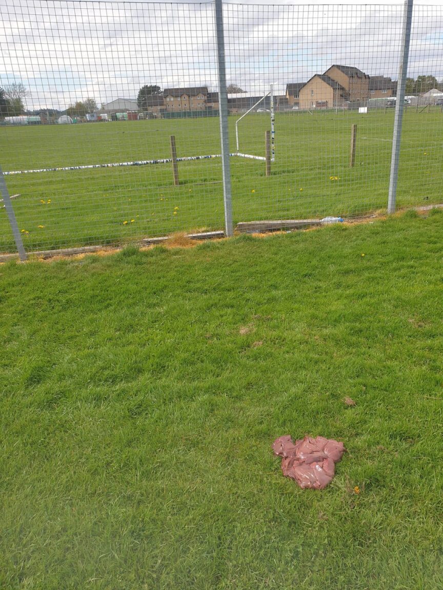 Elgin residents baffled after piles of offal dumped at football pitch