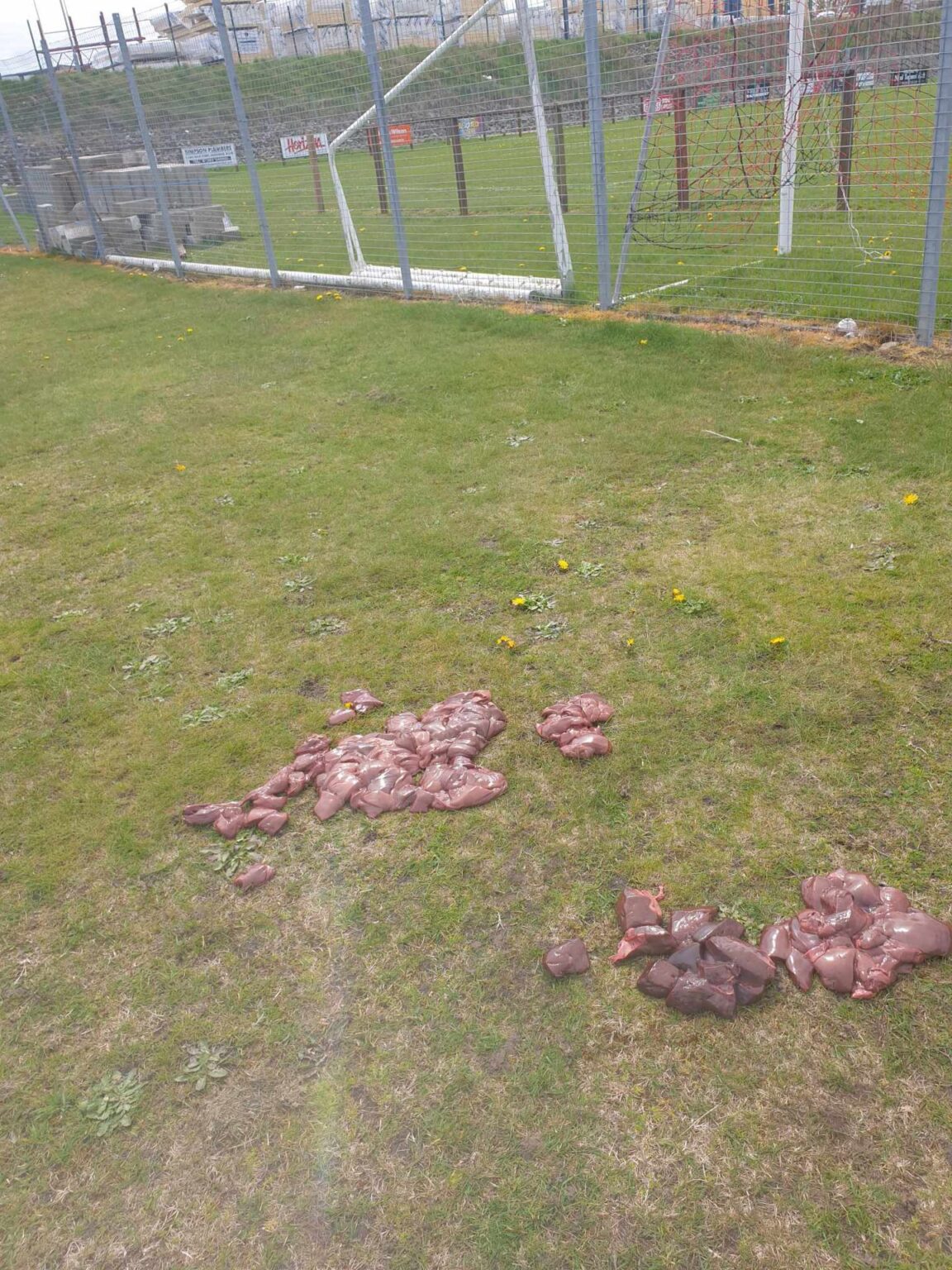 Elgin residents baffled after piles of offal dumped at football pitch
