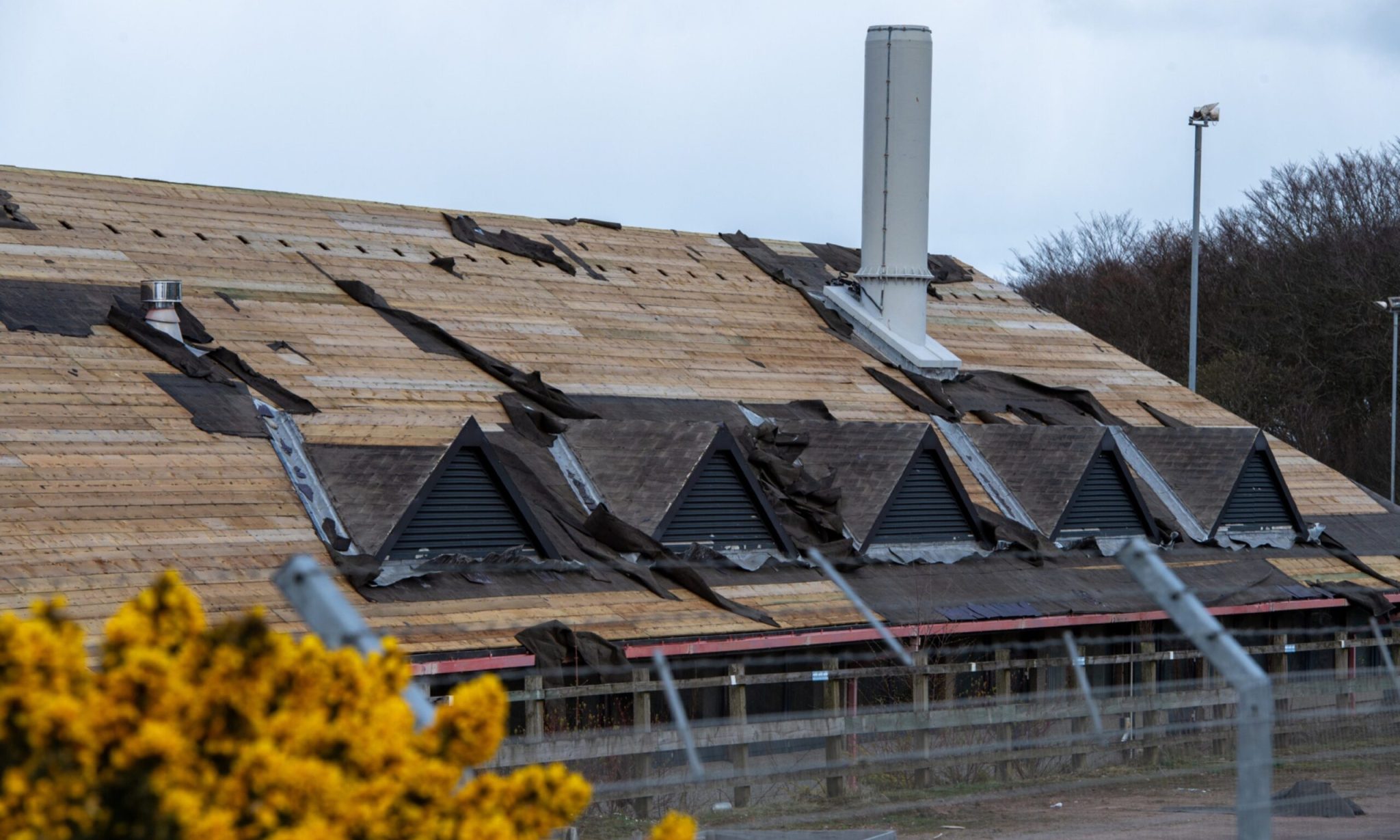 Shell HQ demolition: Images show diggers tearing down landmark