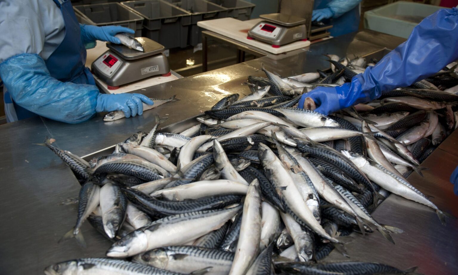 Holburn Street pilates plan for closed Aberdeen salon