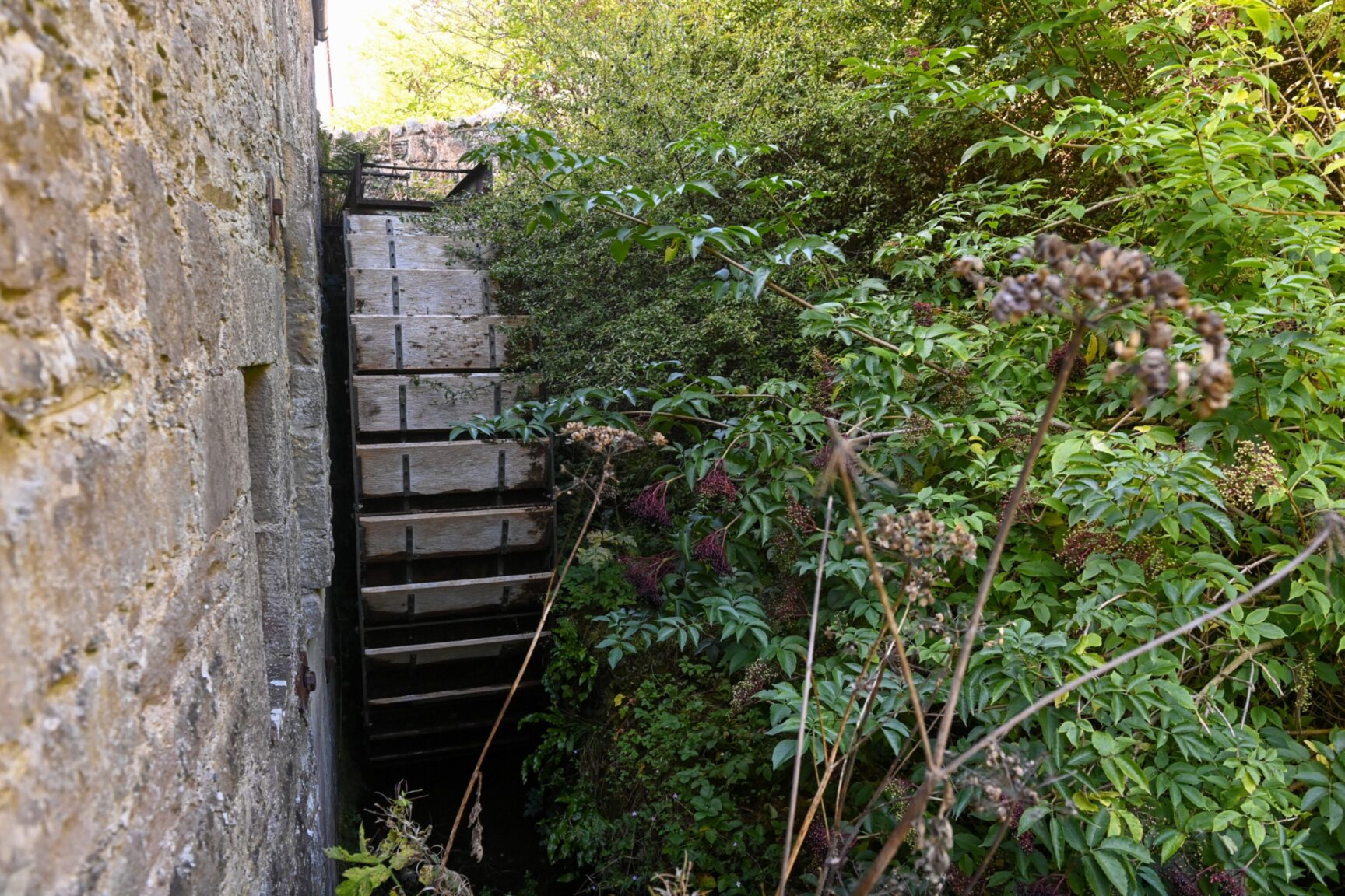 Progress at Mill of Benholm in quest to reopen historic attraction