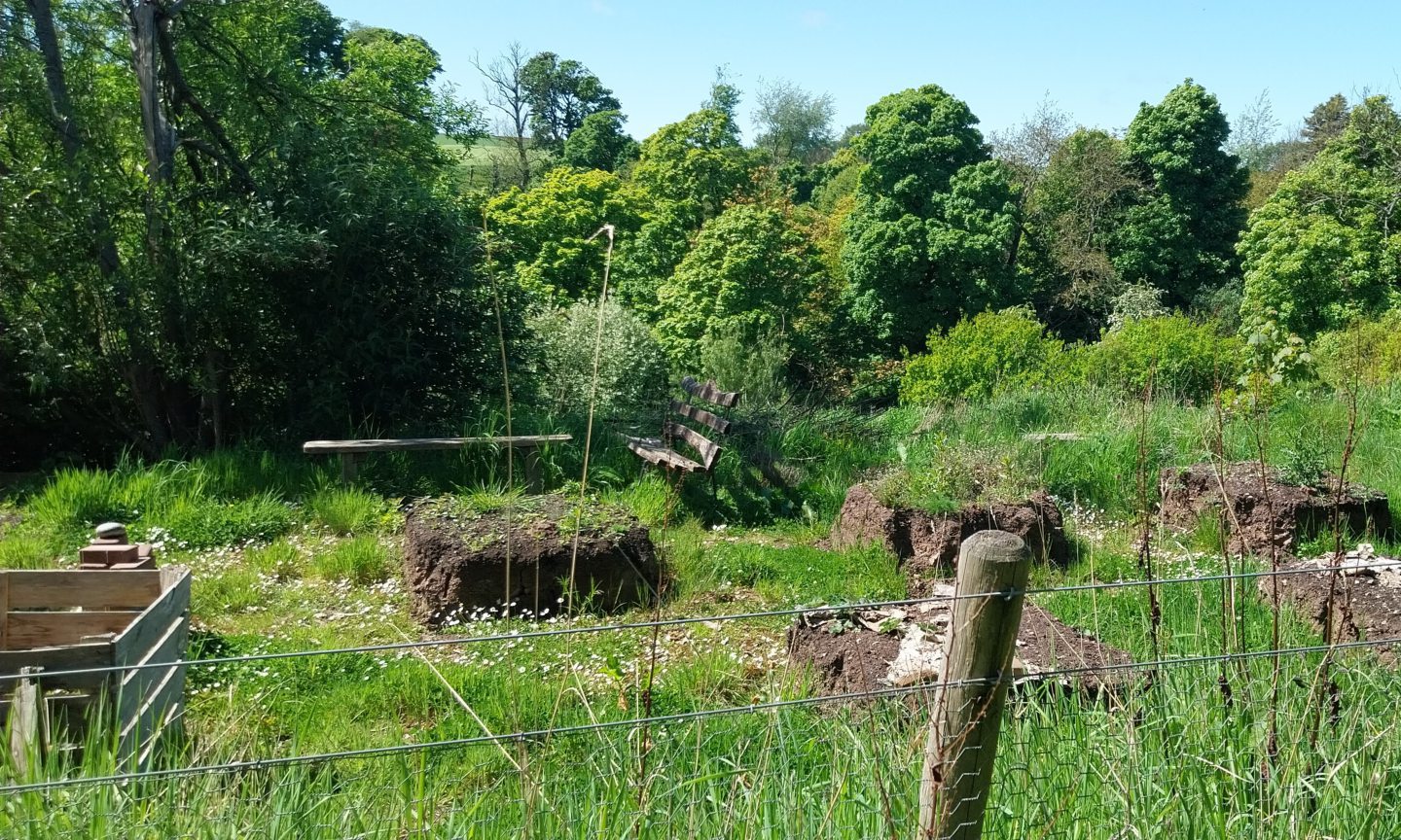 Progress at Mill of Benholm in quest to reopen historic attraction