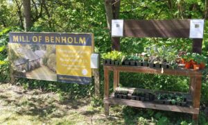 Progress at Mill of Benholm in quest to reopen historic attraction