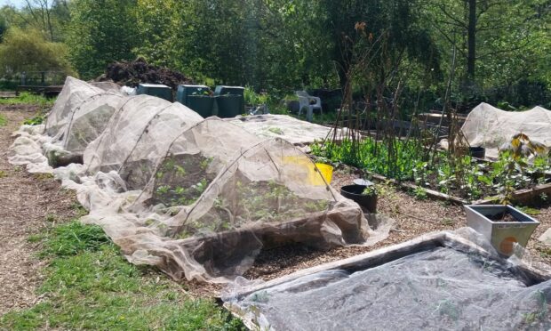 Progress at Mill of Benholm in quest to reopen historic attraction