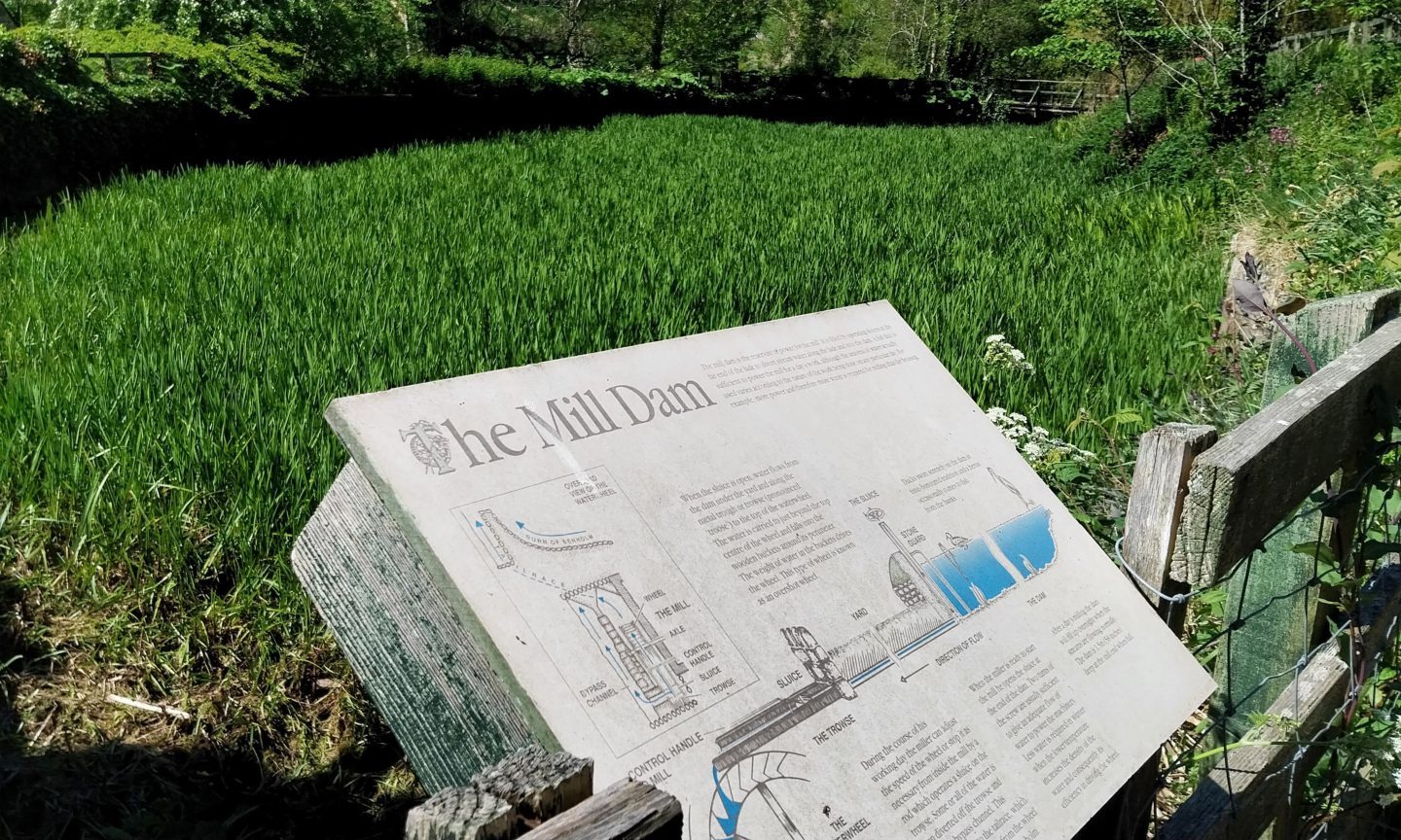 Progress at Mill of Benholm in quest to reopen historic attraction